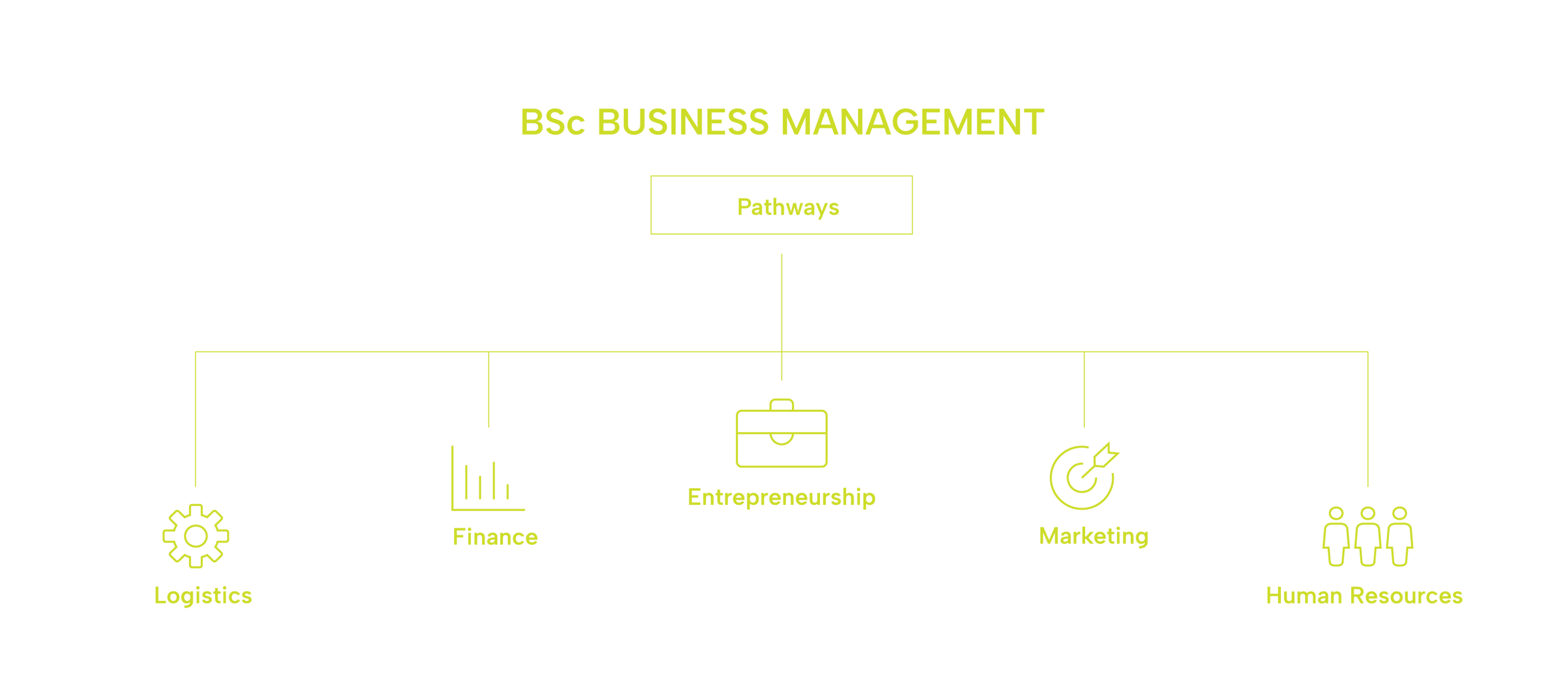 BSc (Bachelor of Science) Business management Degree | Gisma