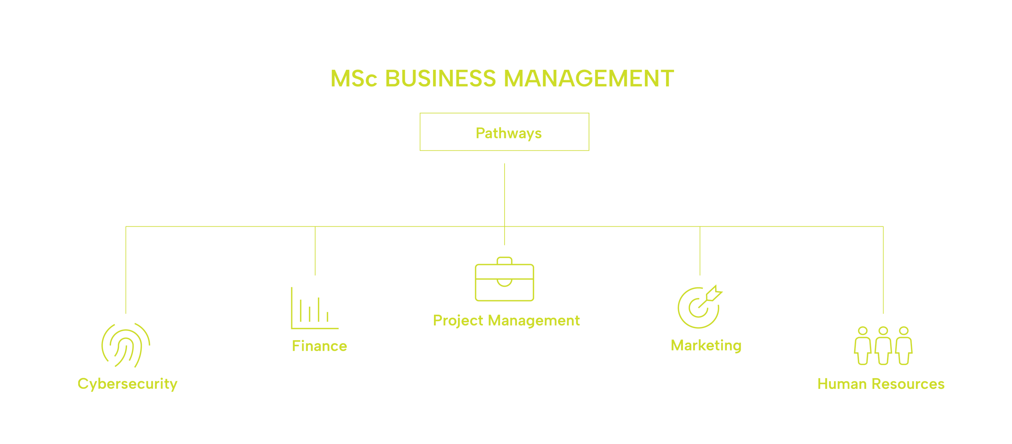 MSc Business Management | Gisma University of Applied Sciences